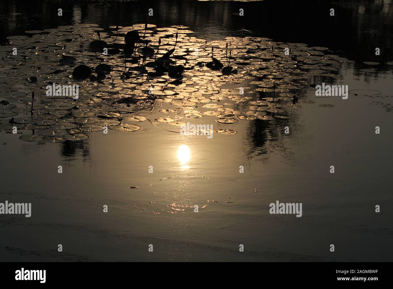sunset reflection in a lake Stock Photo - Alamy