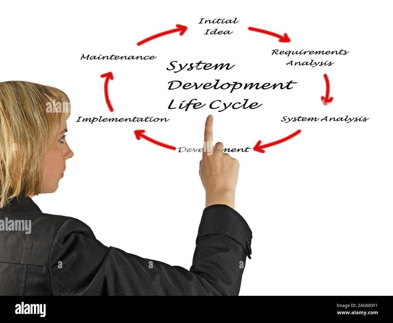 System development life cycle Stock Photo - Alamy