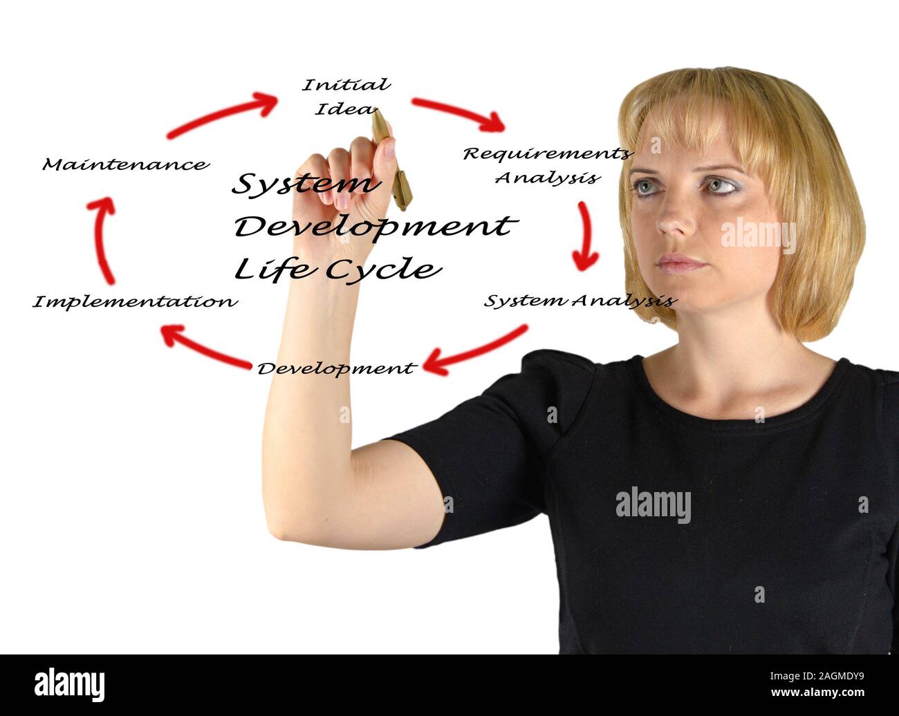 System development life cycle Stock Photo - Alamy