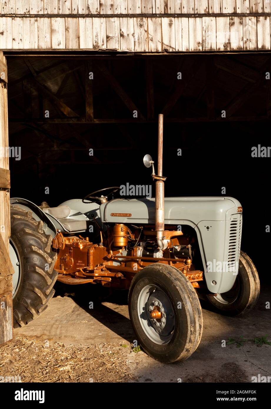 A Grey and Gold Ferguson Vintage Tractor in a wooden barn Stock Photo ...