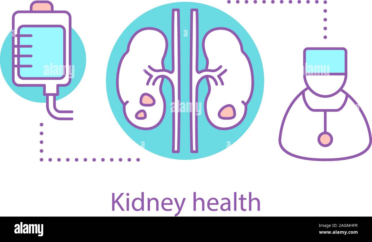 Urology concept icon. Urinary system idea thin line illustration ...