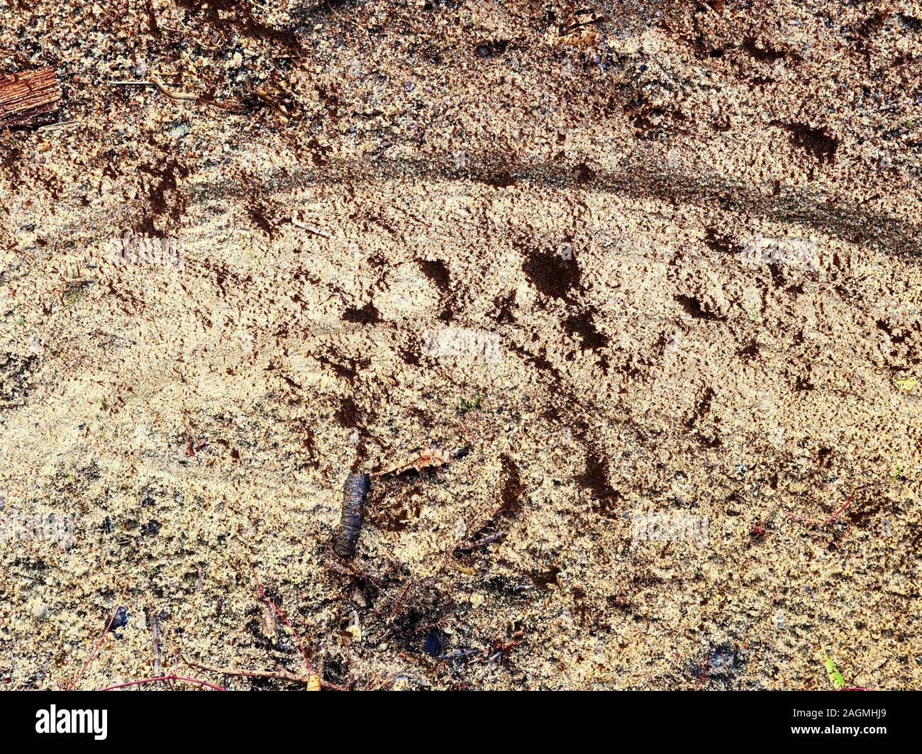 Detailed close up view on high resolution sand surfaces Stock Photo - Alamy