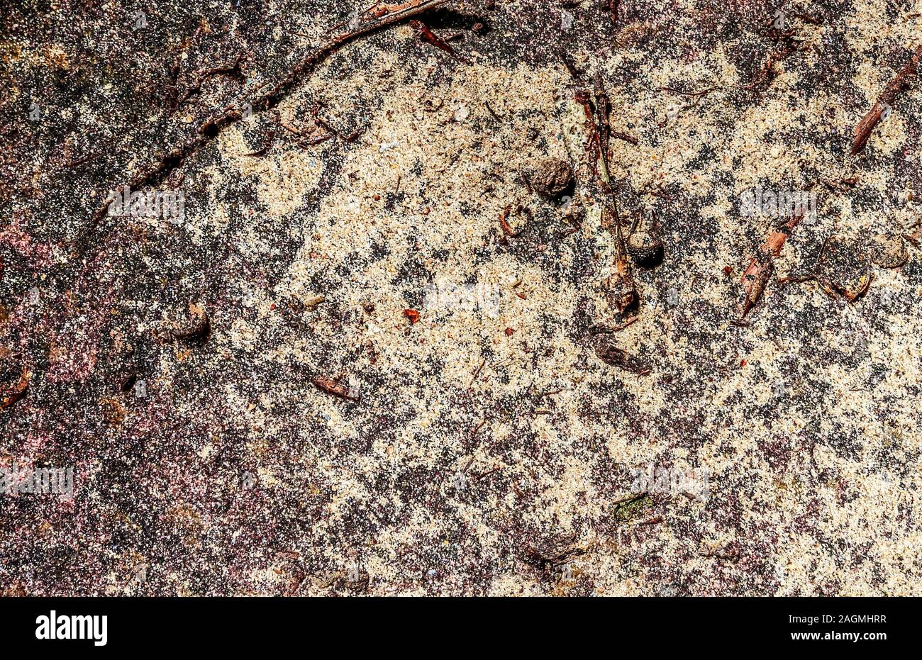Detailed close up view on high resolution sand surfaces Stock Photo - Alamy