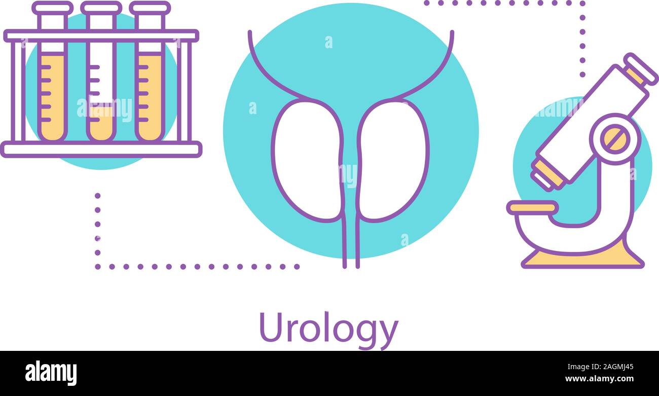 Male reproductive system abstract hi-res stock photography and images ...