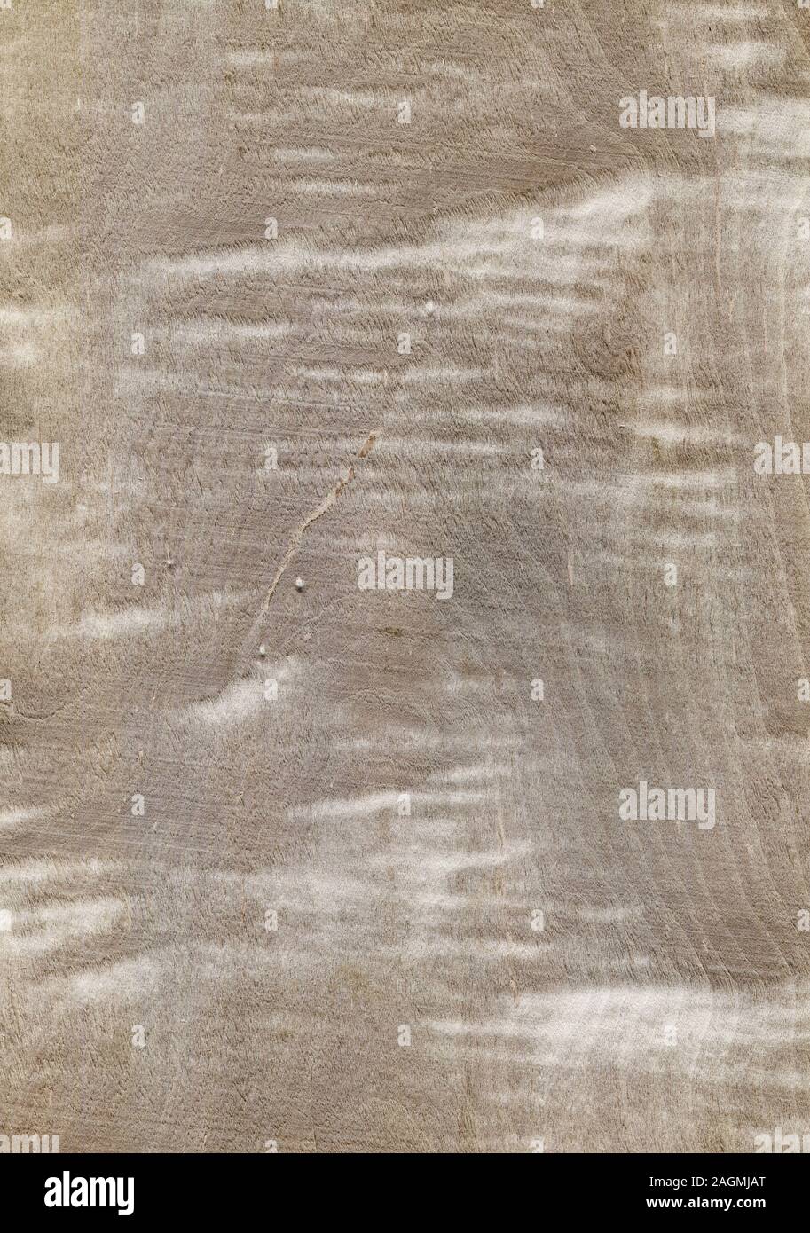 Natural wooden texture background. sycomore wood Stock Photo - Alamy