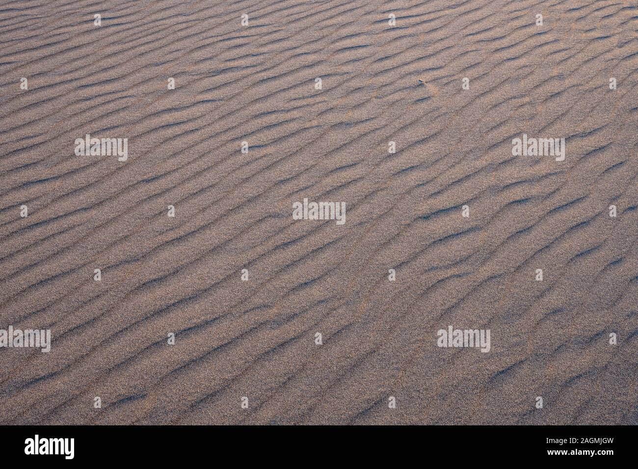 Rippled Sand Texture spans across surface of dune Stock Photo - Alamy