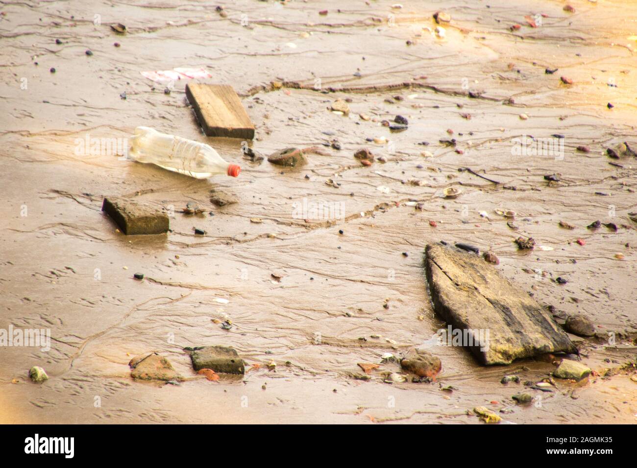 A small section of riverbed is shown at the side of the River Thames ...