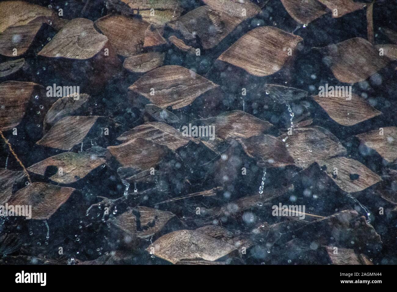 Raindrops falling to the ground during heavy rainfall Stock Photo - Alamy