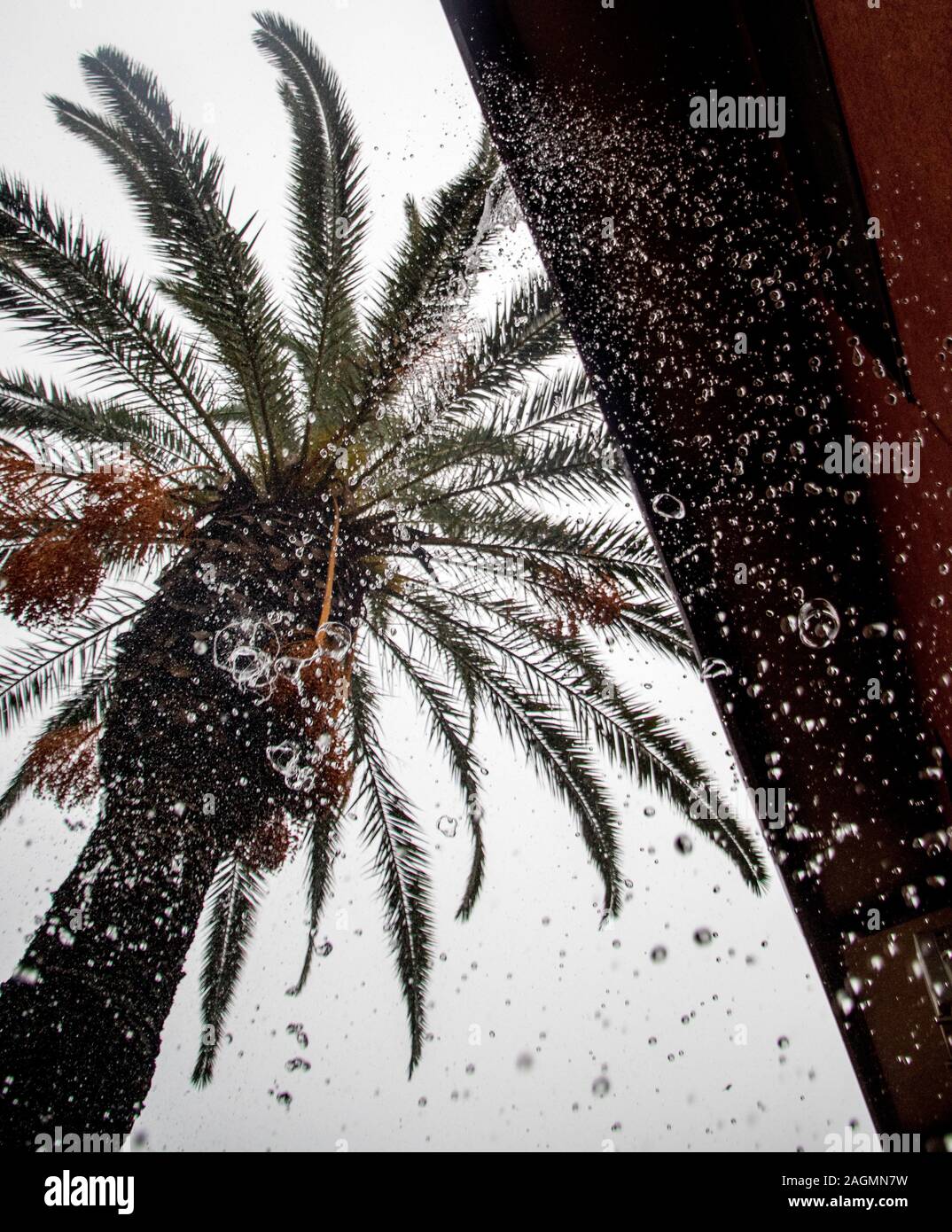 Raindrops falling to the ground during heavy rainfall Stock Photo - Alamy