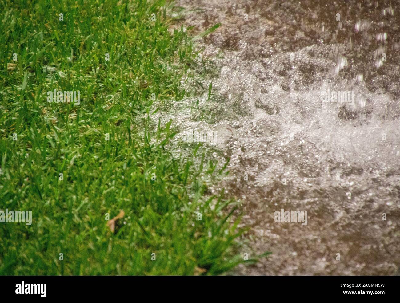Raindrops falling to the ground during heavy rainfall Stock Photo - Alamy