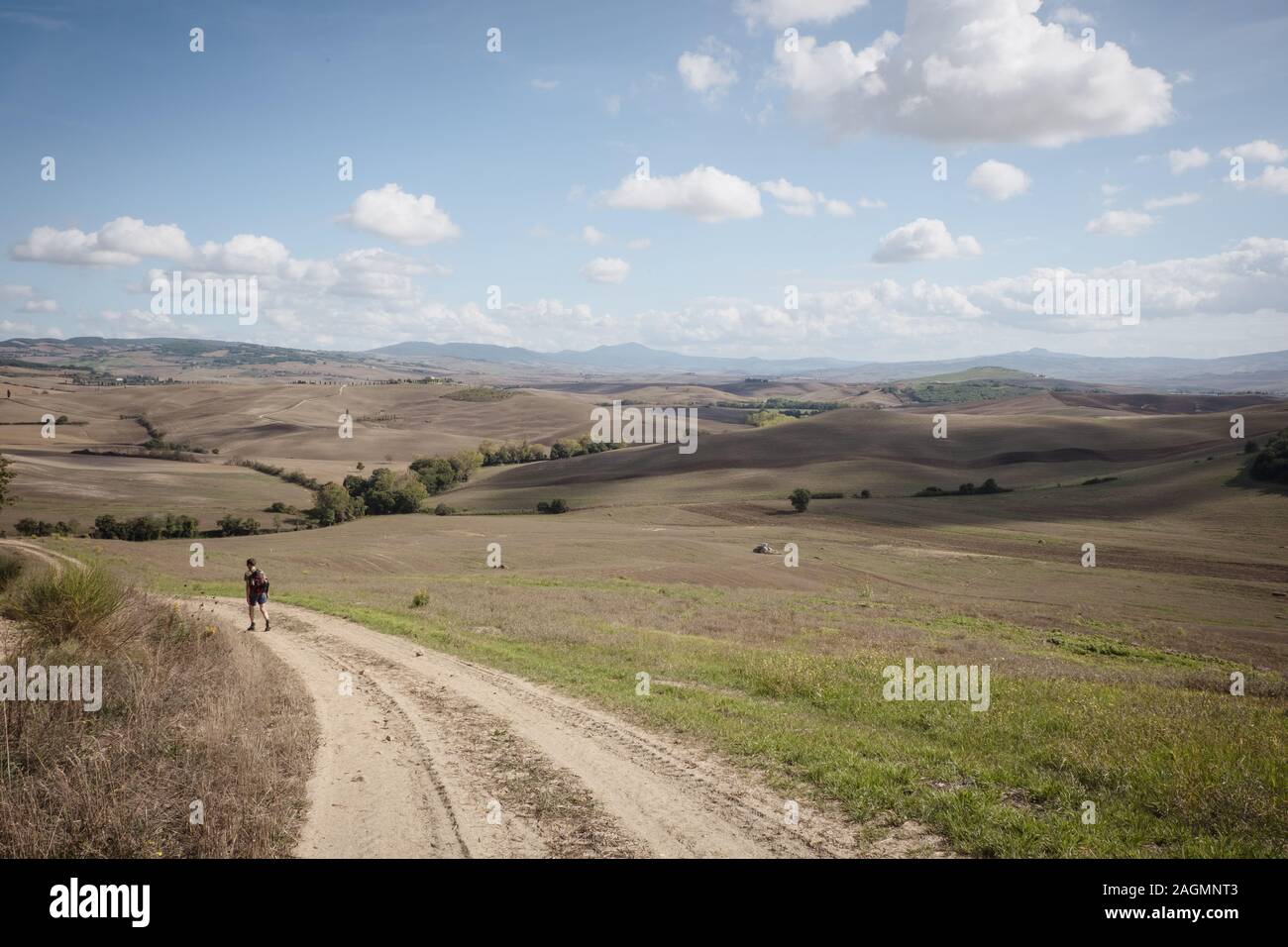 One adult male hiking in Tuscany Stock Photo - Alamy