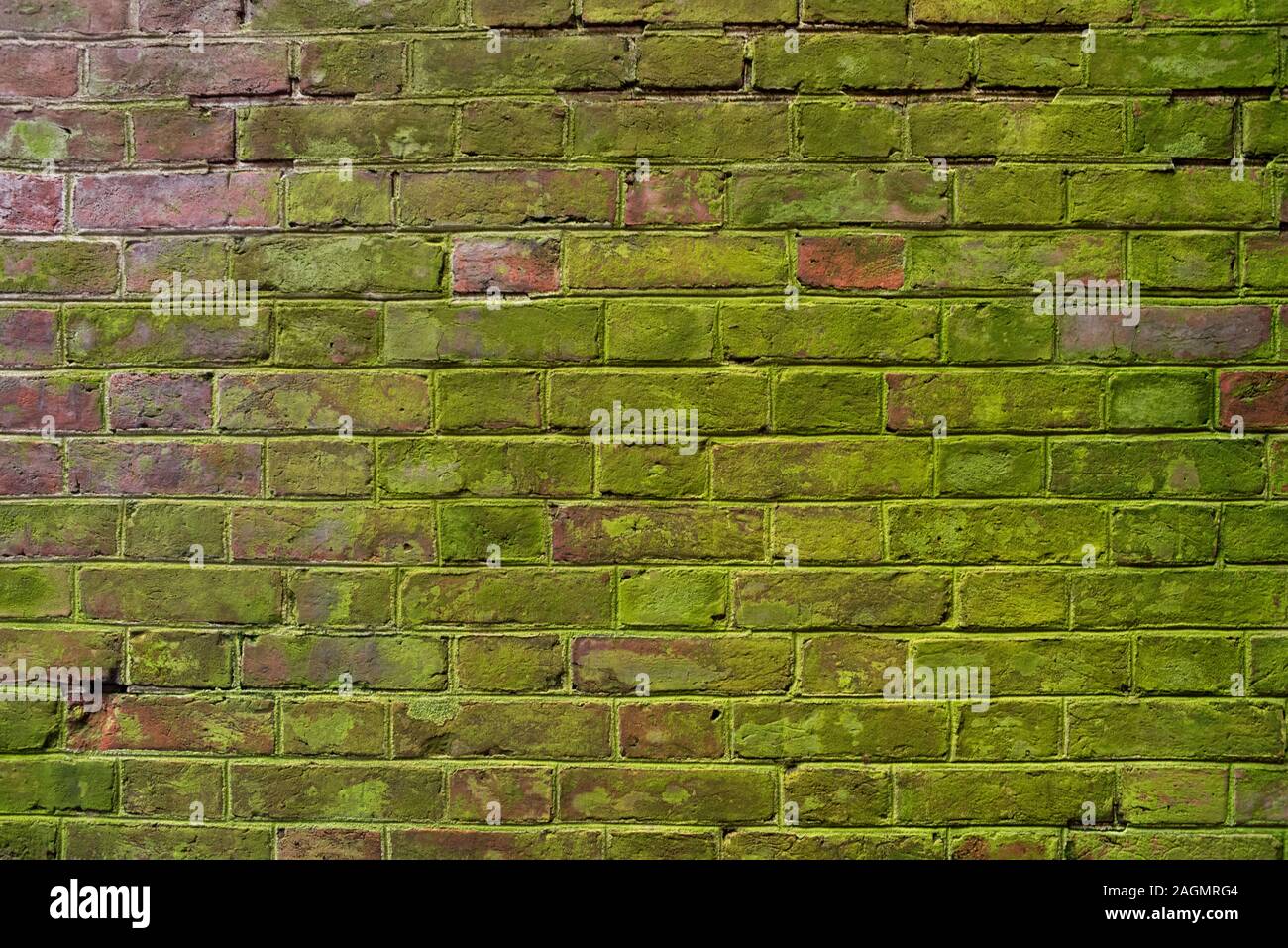 Mossy Brick Wall Stock Photo - Alamy