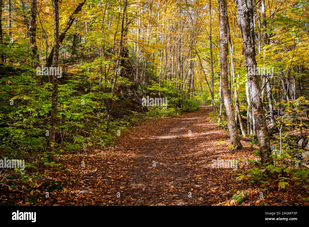 Autumn colors fall colors hi-res stock photography and images - Alamy