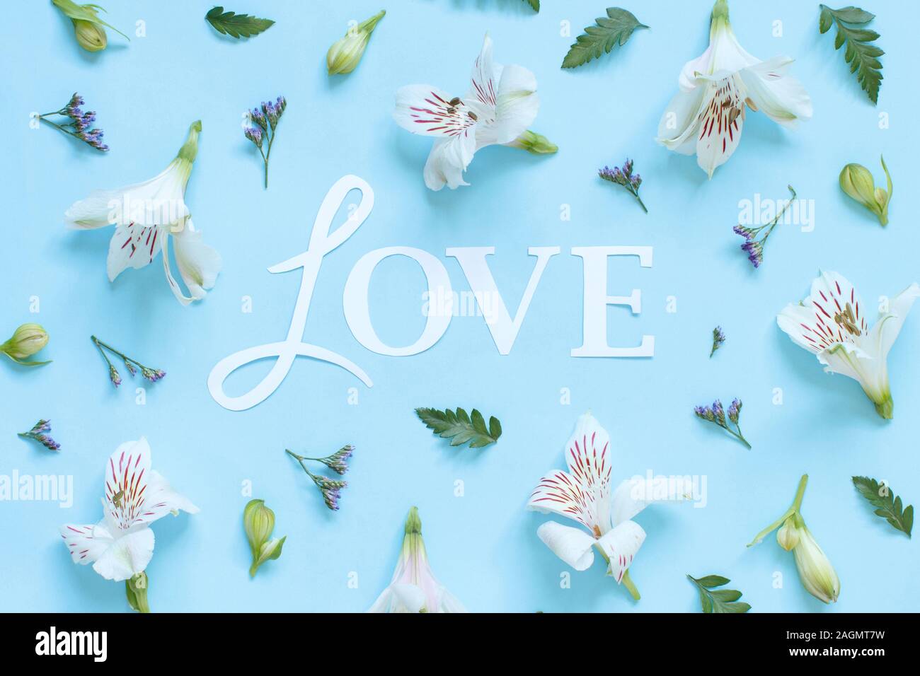 Flowers and word Love on a light blue background top view Stock Photo ...