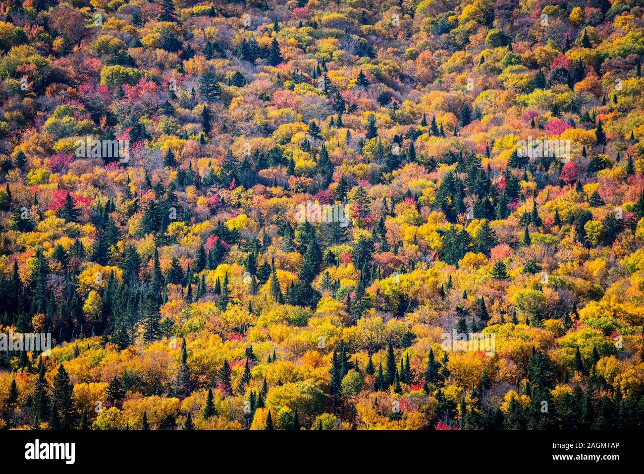 Autumn colors fall colors hi-res stock photography and images - Alamy