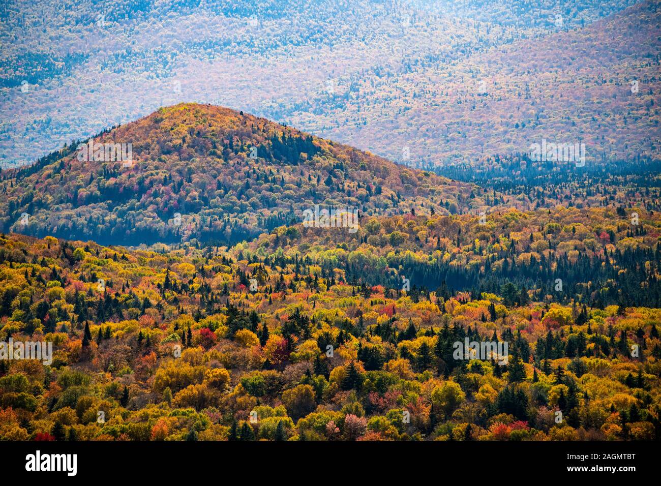 Woodland fall colors hi-res stock photography and images - Alamy