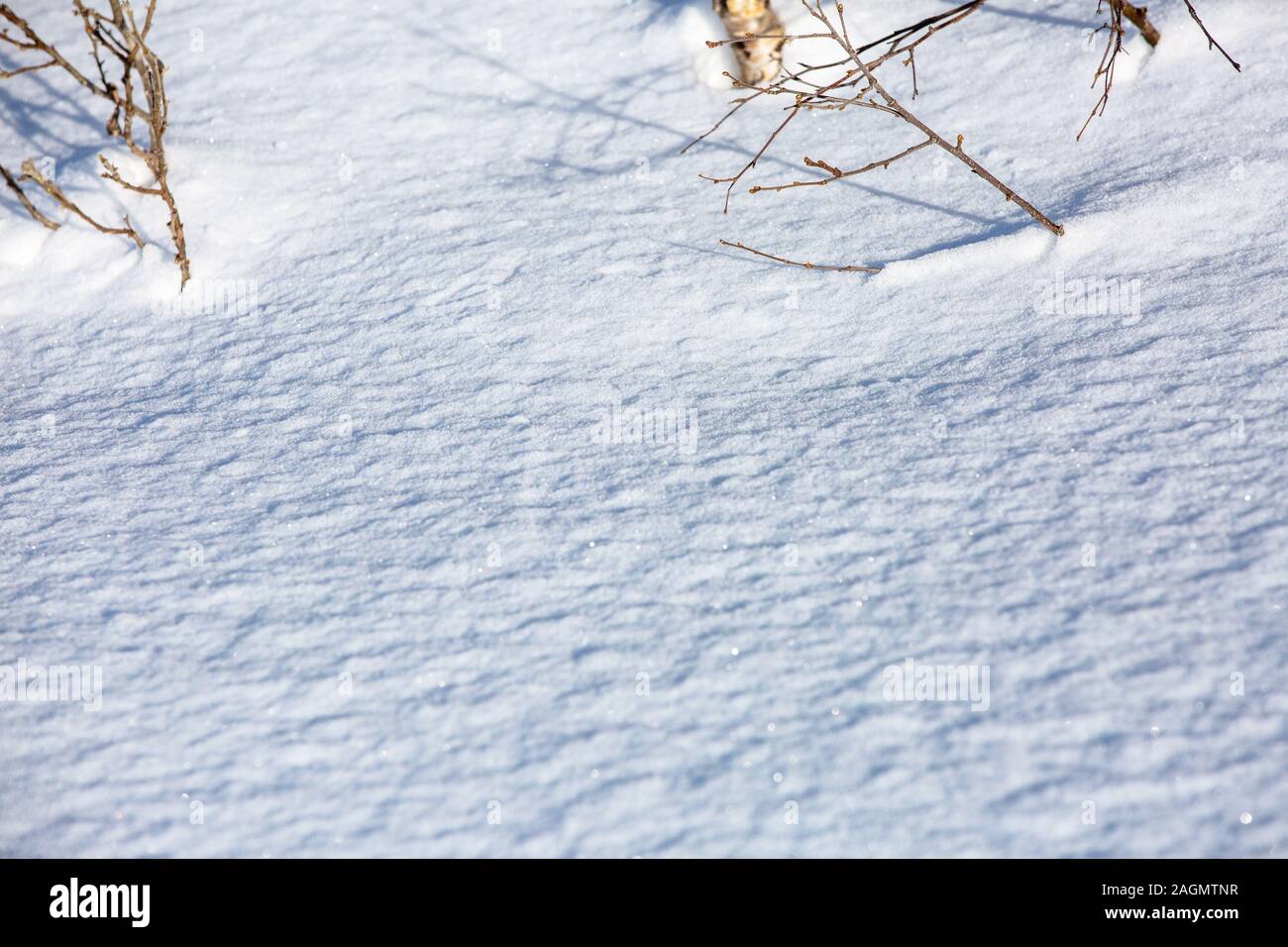 Snow surface as background or texture. Snow background with sparkling ...