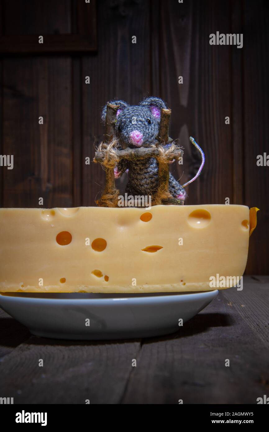 mouse and cheese Stock Photo - Alamy