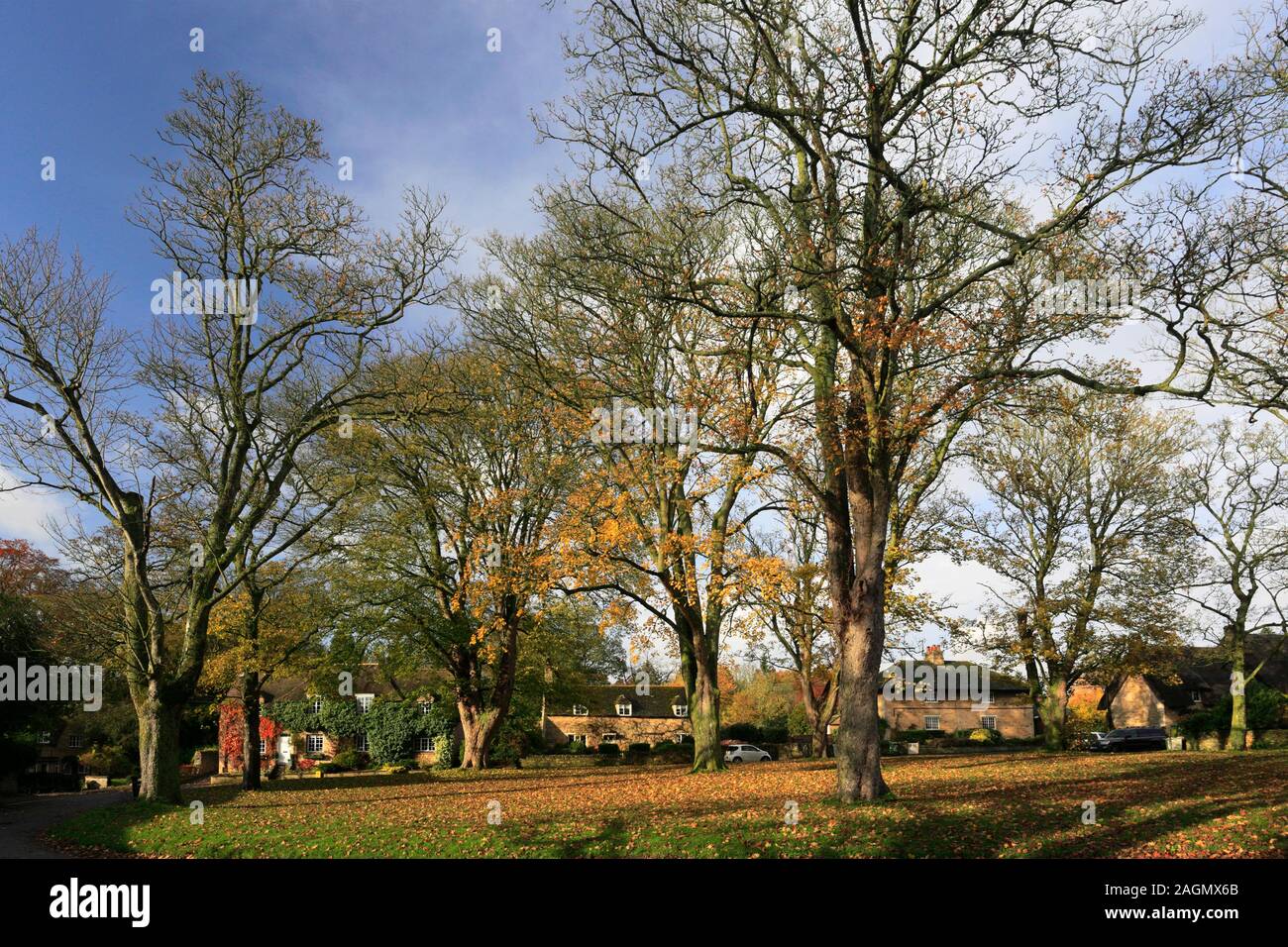 Exton street hi-res stock photography and images - Alamy