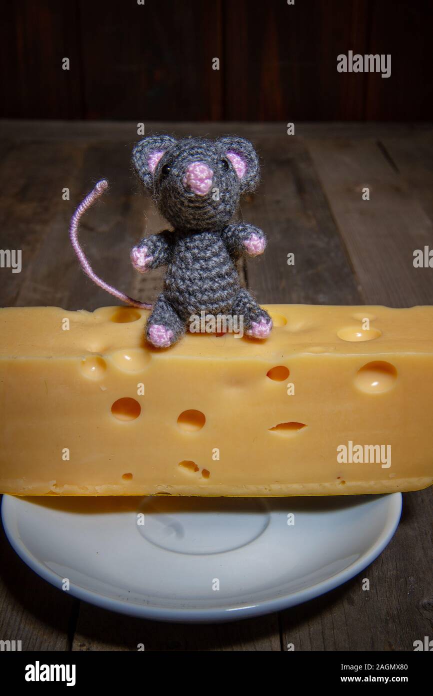 What Is A Mouse's Favorite Cheese at Erin Graham blog