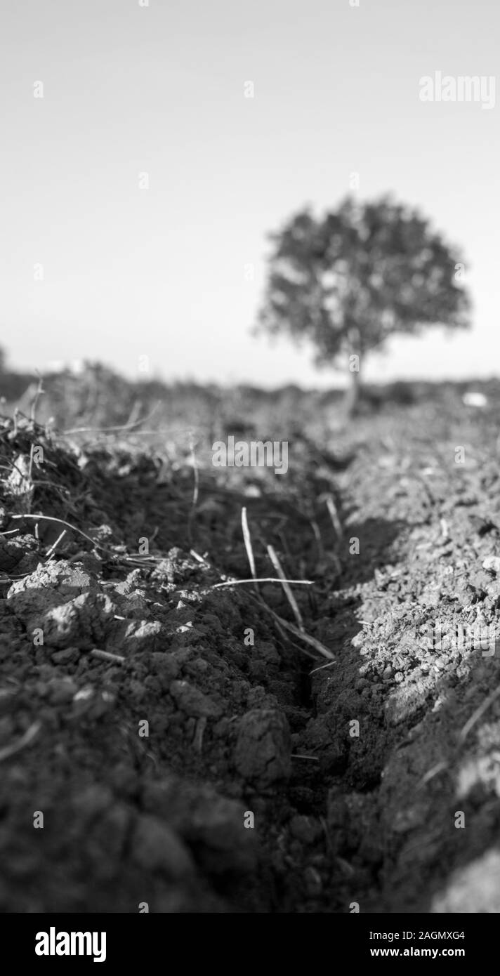 Low level view Black and White Stock Photos & Images - Alamy