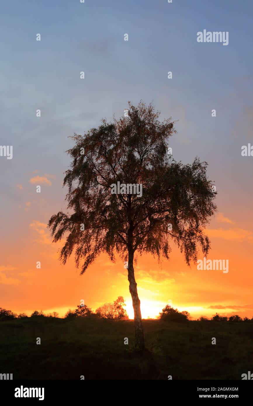 Review sites hi-res stock photography and images - Alamy