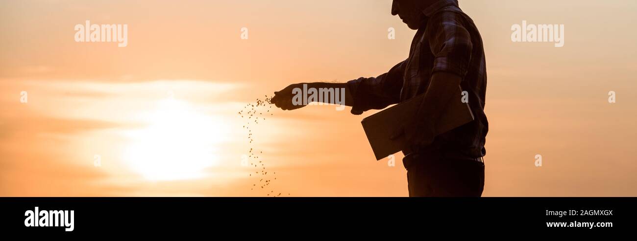 Farmer sowing seeds hi-res stock photography and images - Alamy