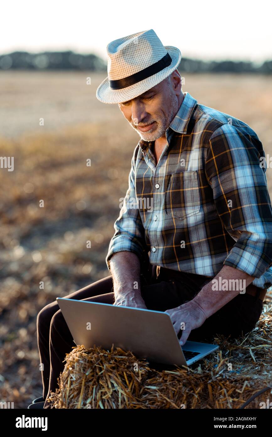 happy self-employed man sitting on bale of hay and typing on laptop ...