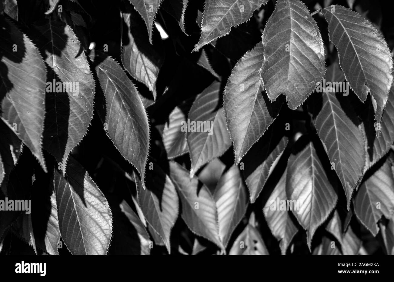 From ground to sky hi-res stock photography and images - Alamy