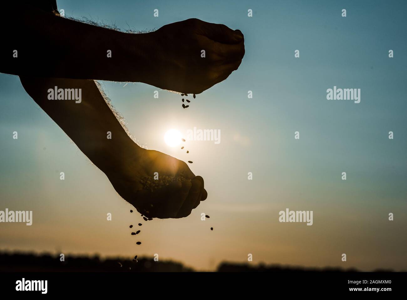 Farmer throwing seeds hi-res stock photography and images - Alamy