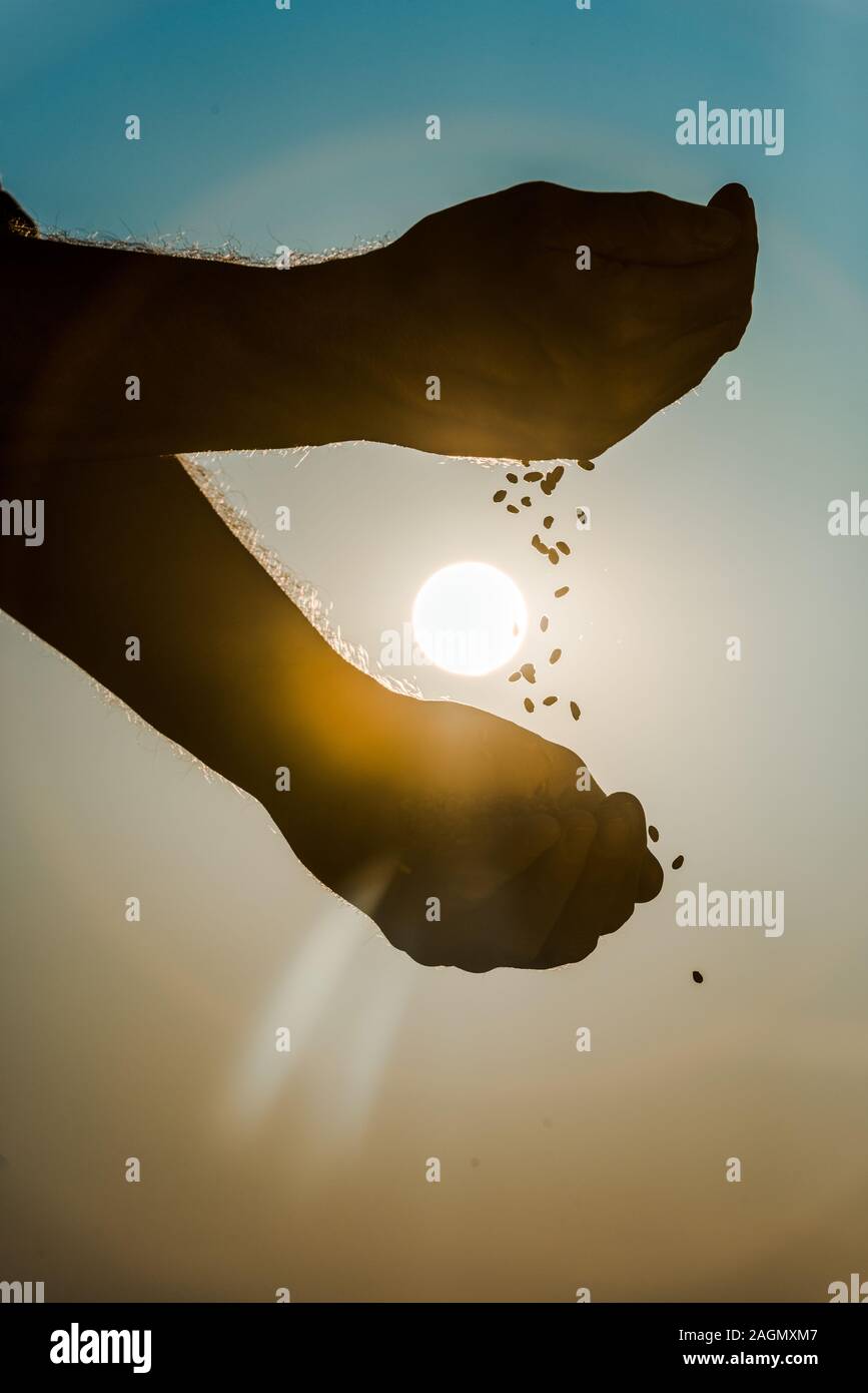 Farmer throwing seeds hi-res stock photography and images - Alamy