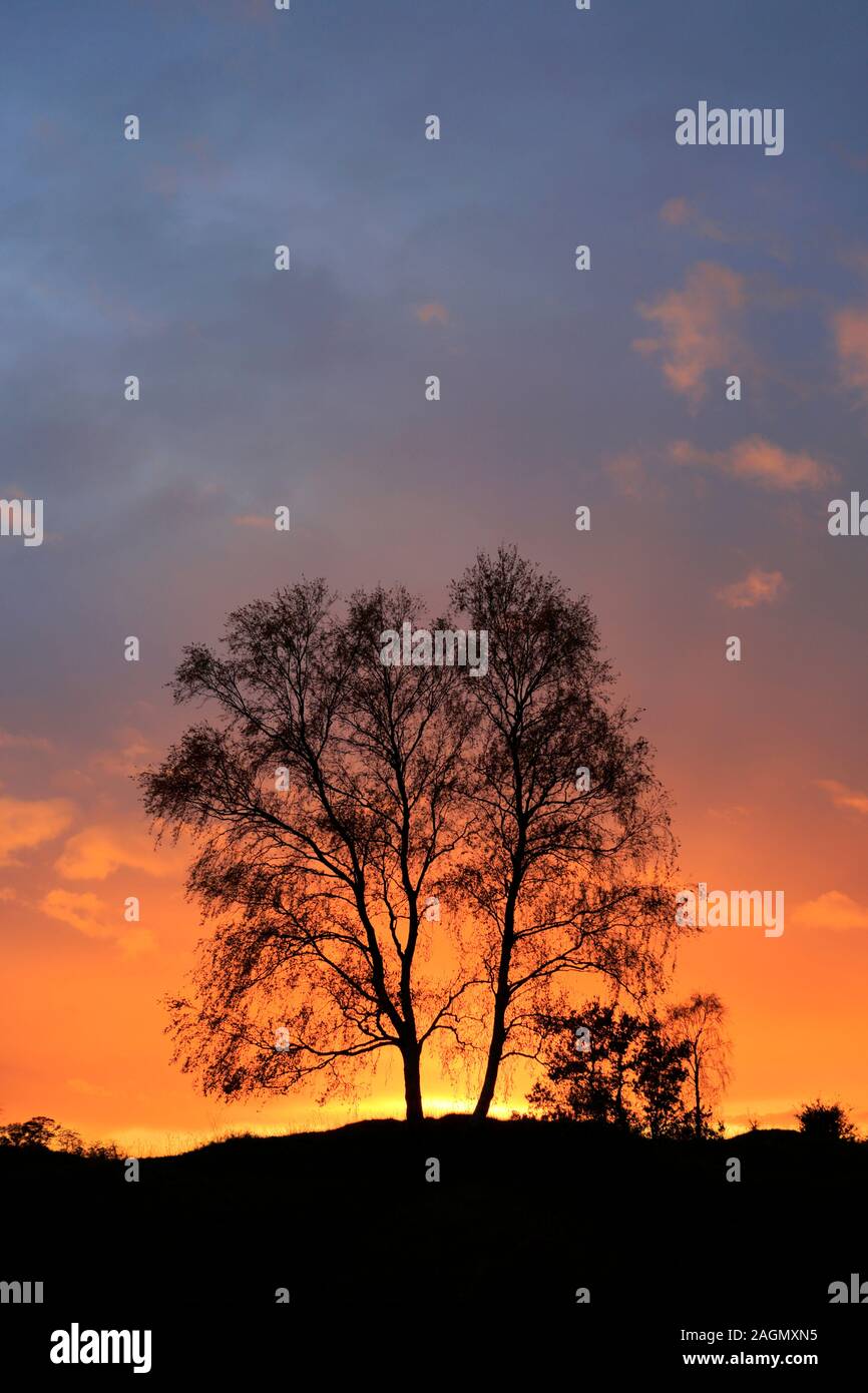 Hills and holes nature reserve hi-res stock photography and images - Alamy