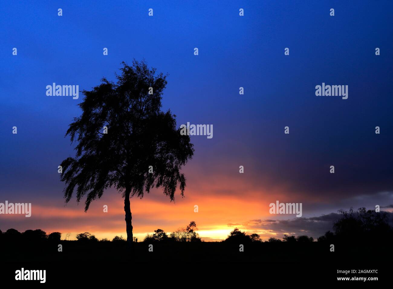 Conservation review sites hi-res stock photography and images - Alamy