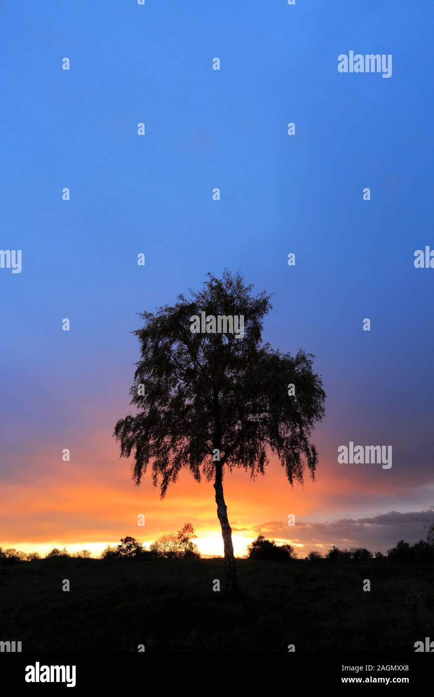 Hills and holes nature reserve hi-res stock photography and images - Alamy