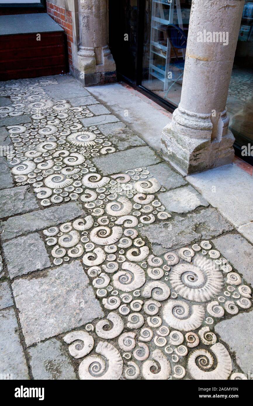Replica ammonite fossils used to decorate the pavement outside the ...
