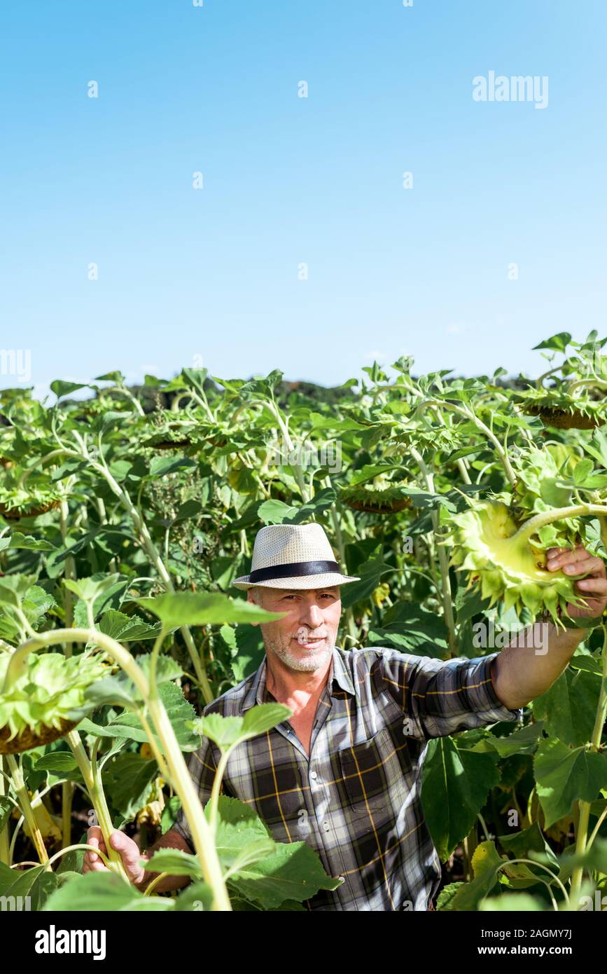 Happy farmer in straw hi-res stock photography and images - Alamy