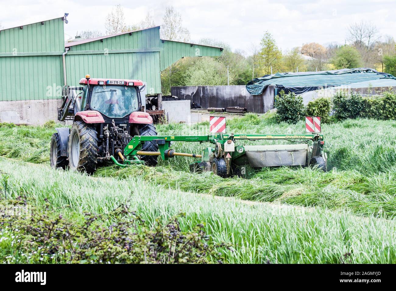 Farmer Cuts and Turns the Grass for Fodder Stock Photo - Alamy