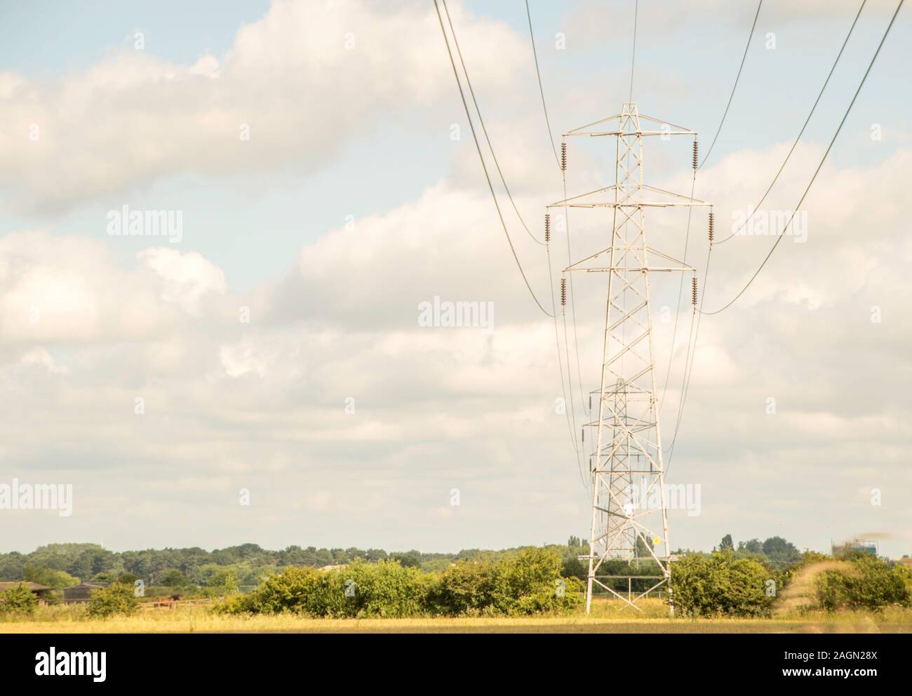 A row of electricity pylons stretch across the countryside, in the ...