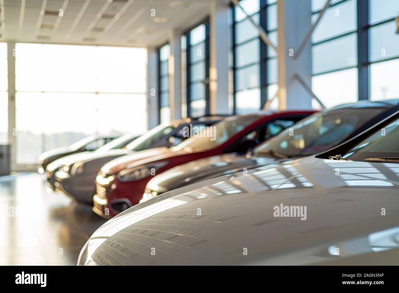 Stock of cars in showroom of automobile dealer with sunlight from ...