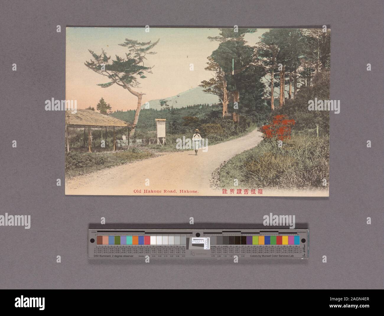 Old Hakone Road, Hakone.; Old Hakone Road, Hakone Stock Photo - Alamy