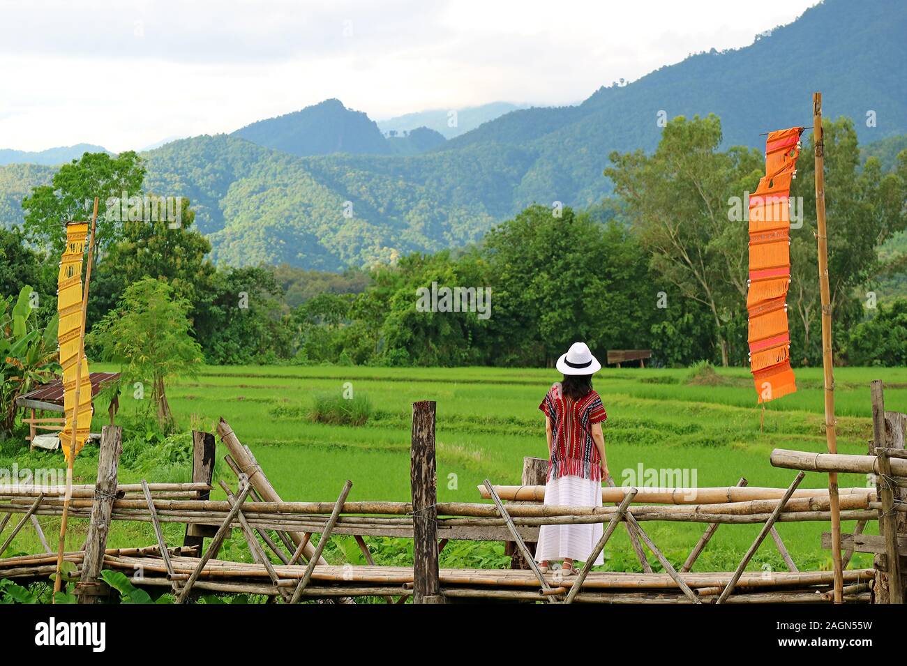 Paddy field and mountain hi-res stock photography and images - Alamy