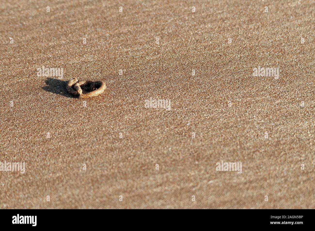 Worm cast on Gairloch Beach, Scottish Highlands Stock Photo - Alamy