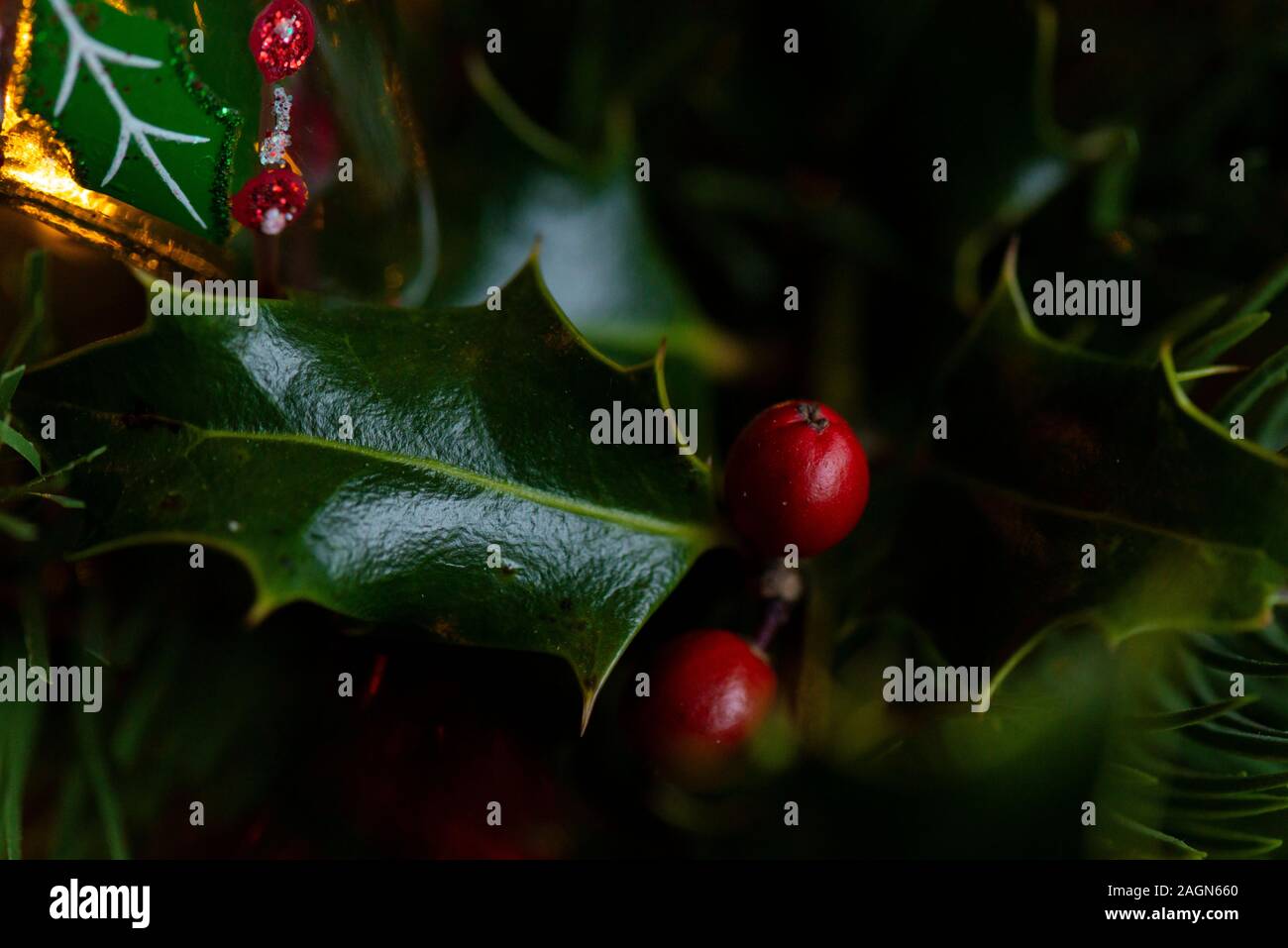 Holly leaves and berries used to decorate an artificial Christmas tree ...