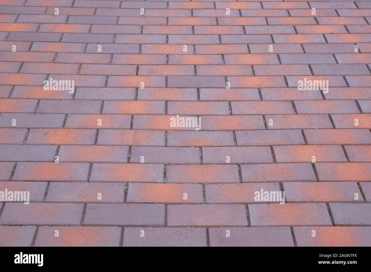 Red Paving slab, background. Pedestrian zone in the park in daylight ...