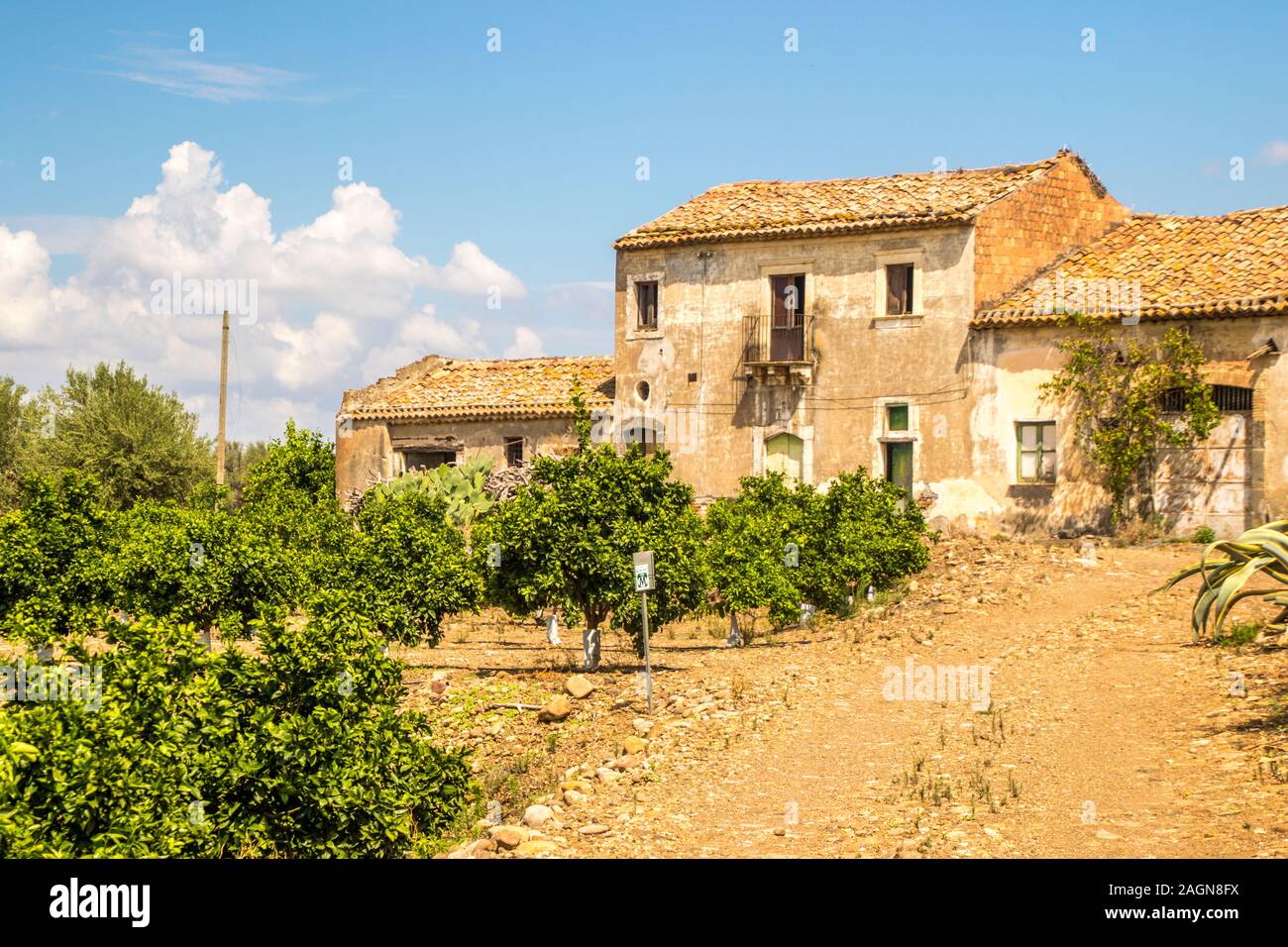 A typical Italian farmhouse in the middle of the countryside orchids ...