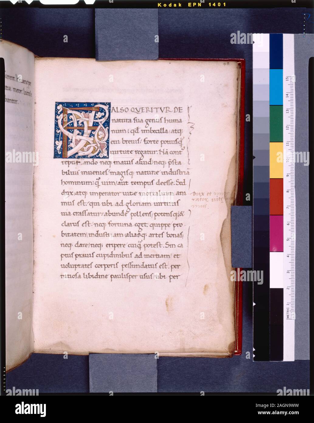 Streatlam castle hi-res stock photography and images - Alamy