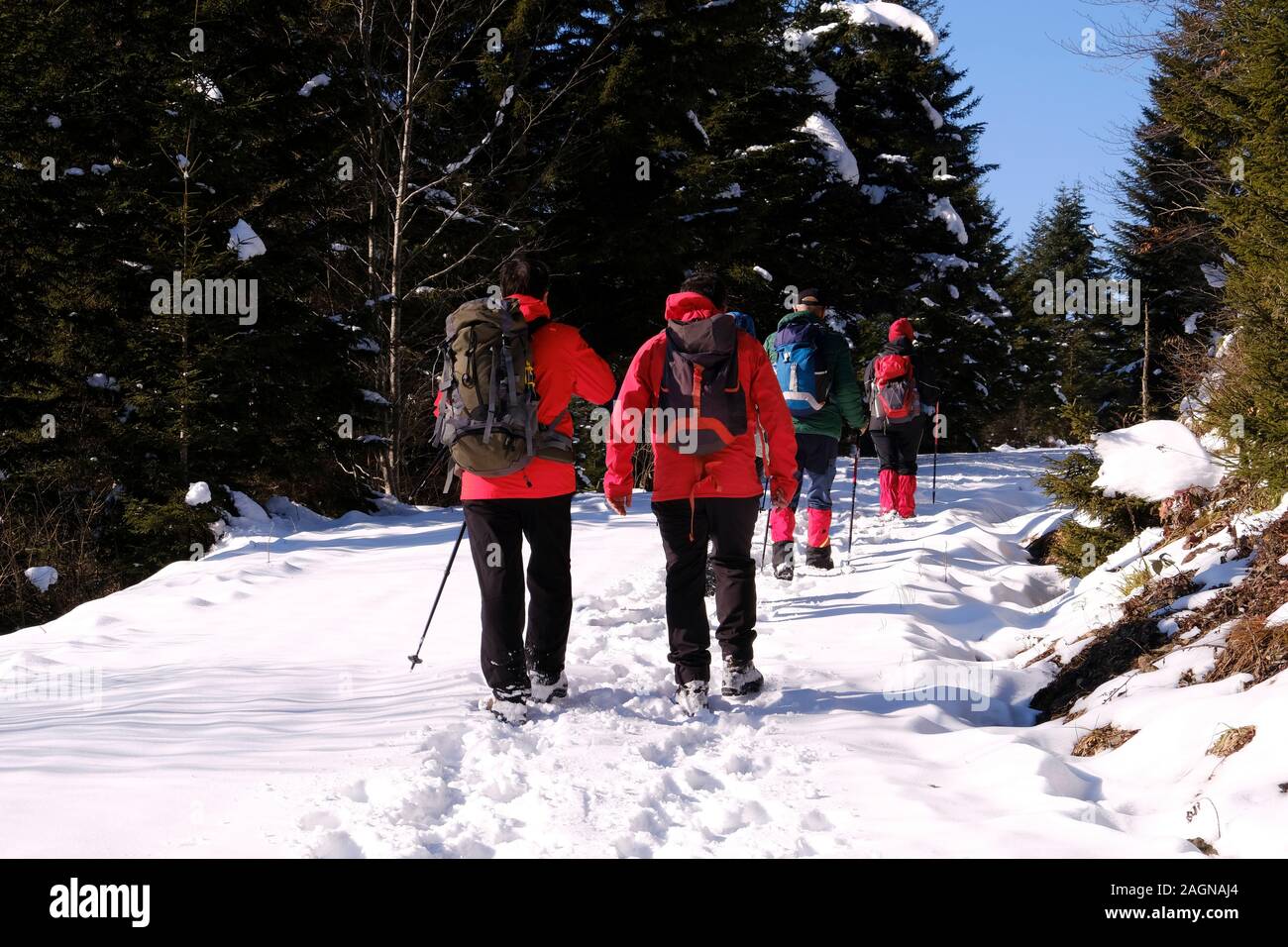 people hiking in the snow in the town of tonya trabzon turkey Stock ...