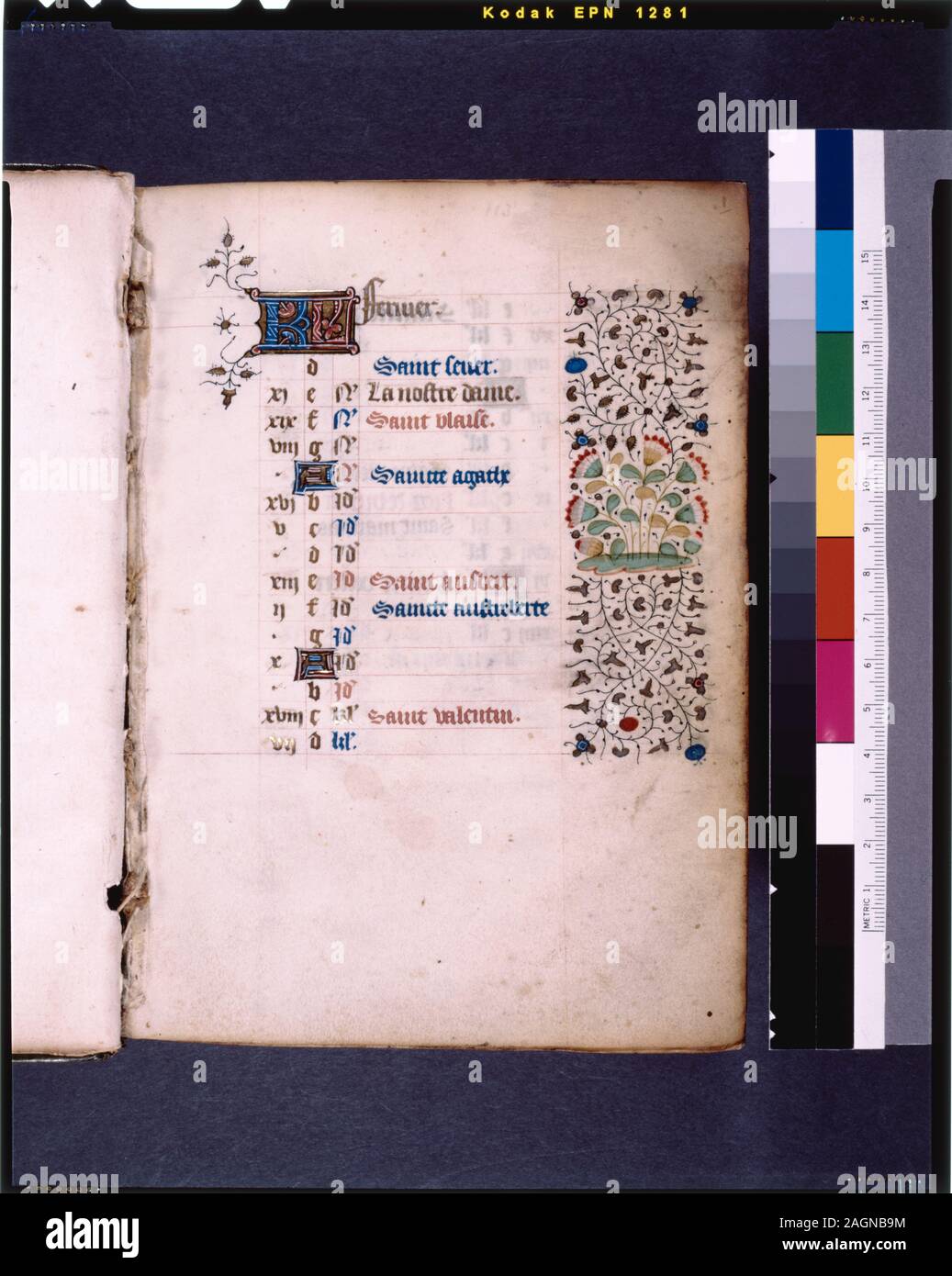 Marguerite wilson hi-res stock photography and images - Alamy