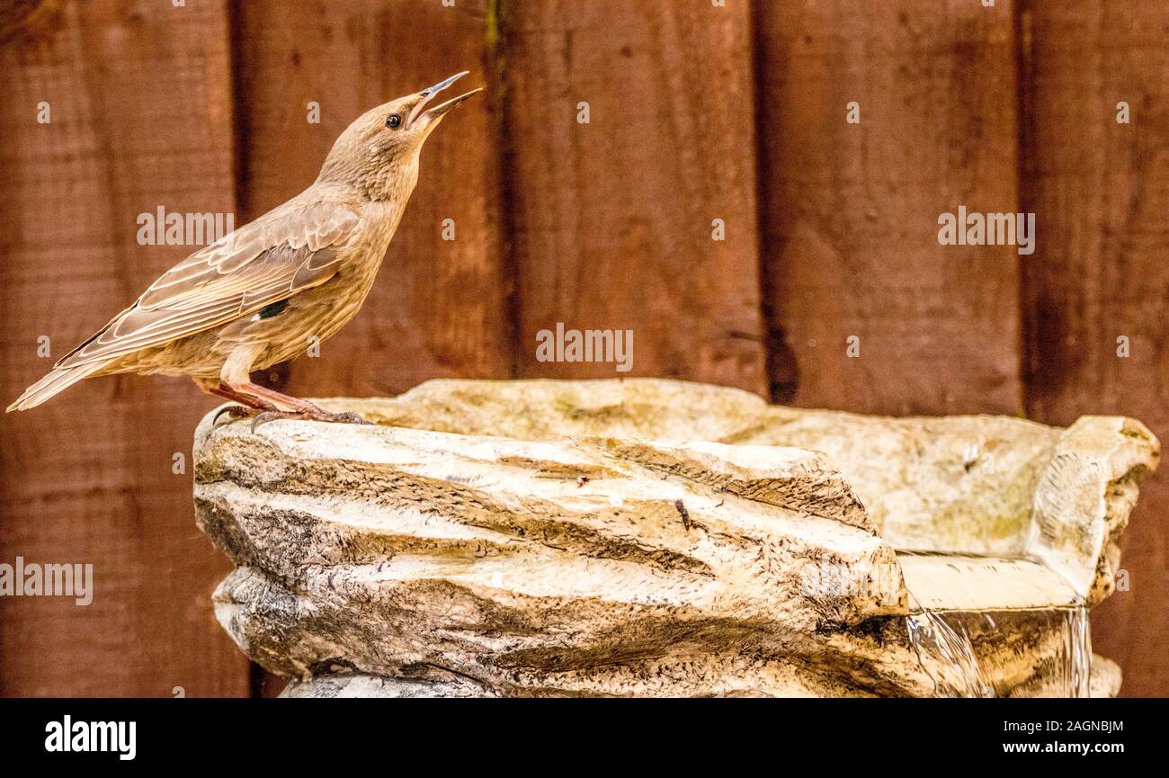 Dehydration types hi-res stock photography and images - Alamy