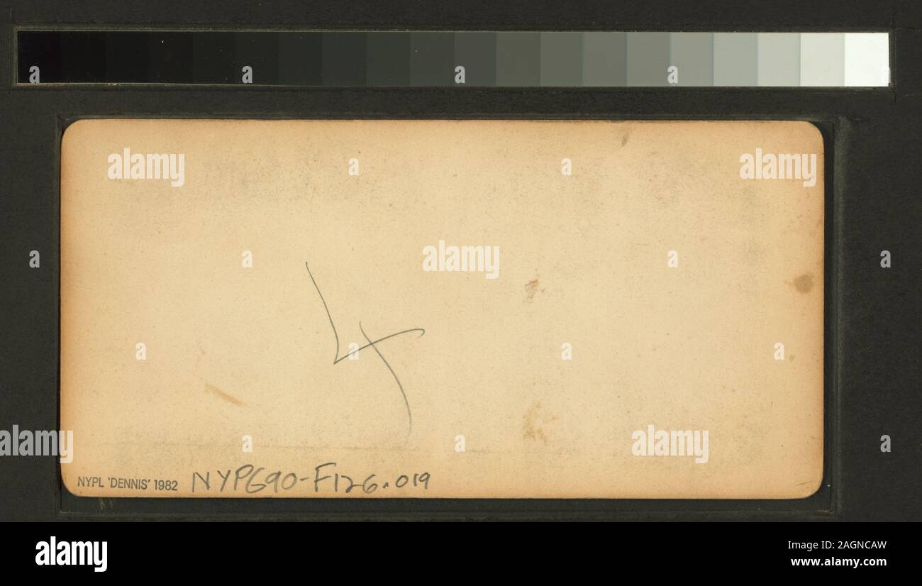 Orange Tree on Stowe Estate Orange Tree on Stowe Estate.; Orange Tree ...